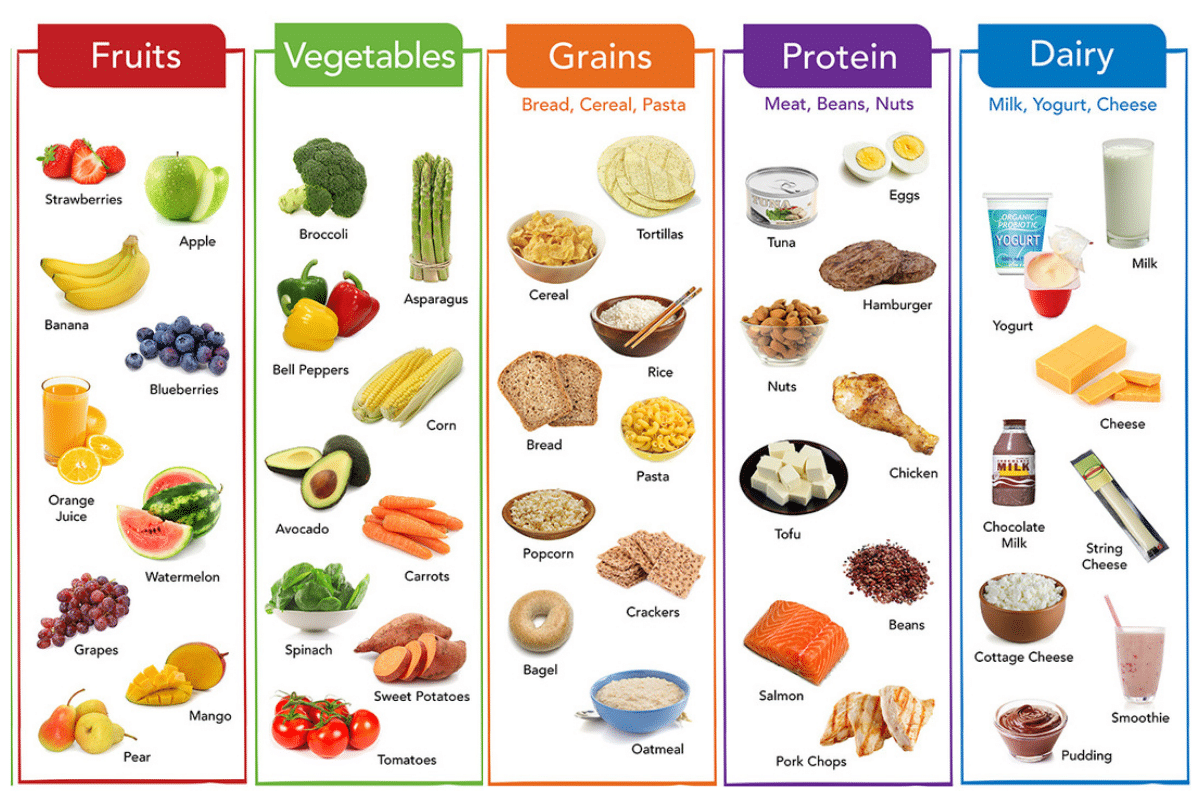 What Is MyPlate North Texas Food Bank