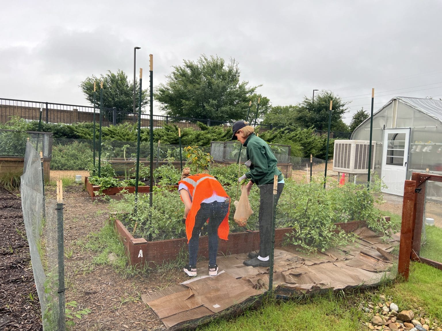 Get to know Jan’s Garden at the North Texas Food Bank